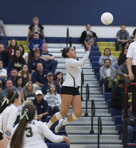 All-Tribune Girls Volleyball Team | Sports | ahwatukee.com