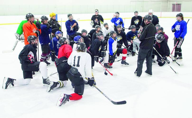 Finding the crease: Hamilton hockey growing along with sport | Sports ...