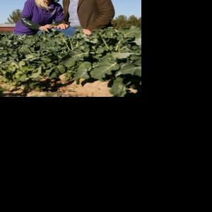 Schnepf Farms celebrates 70th year in Queen Creek | Valley And State ...