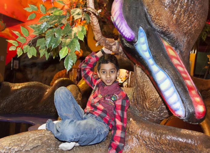 Makutu's Island | Latest Slideshows | ahwatukee.com