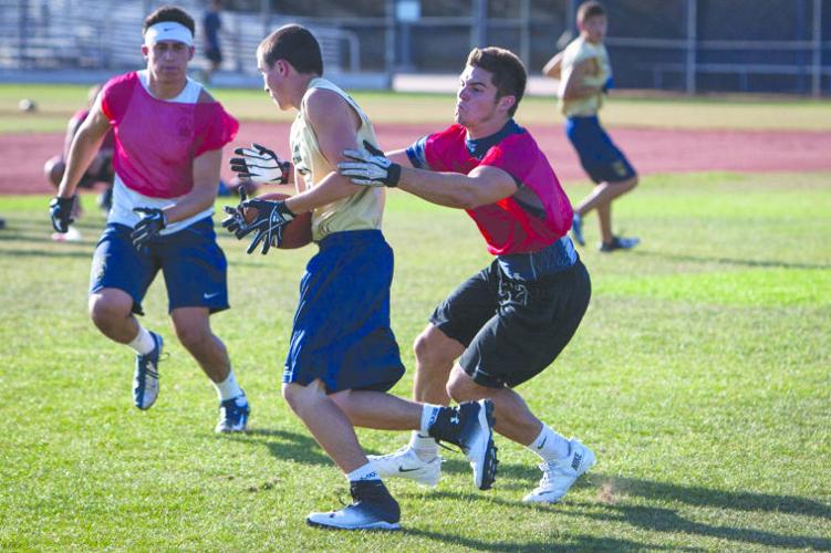 Forging their own path: New era ahead for DV football | Sports ...