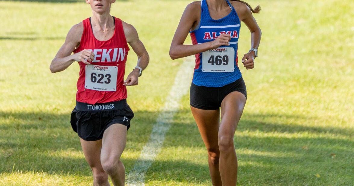 Albia Hosts Season-Opening Cross Country Meet | Sports | albianews.com