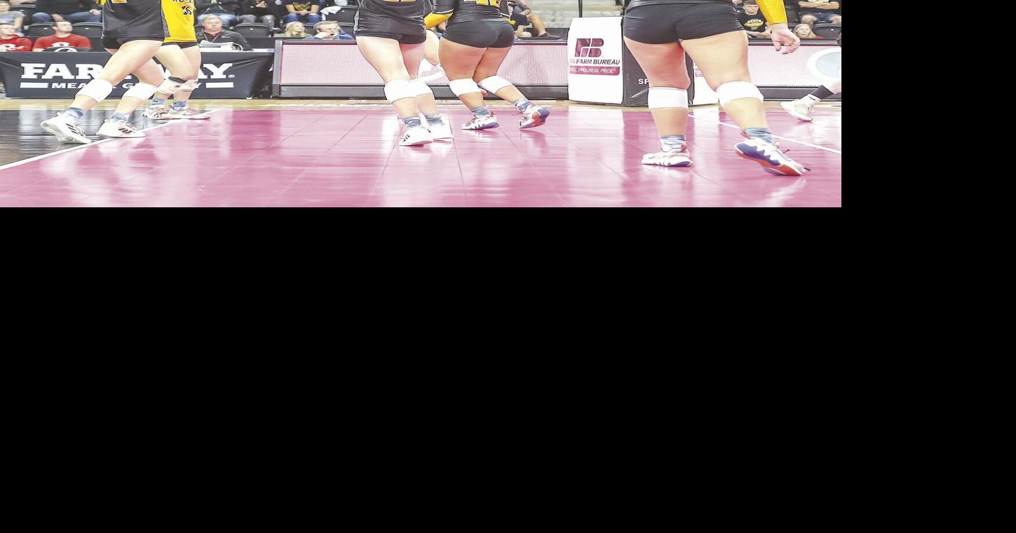 Rockets bow out of state tourney | Sports | albianews.com