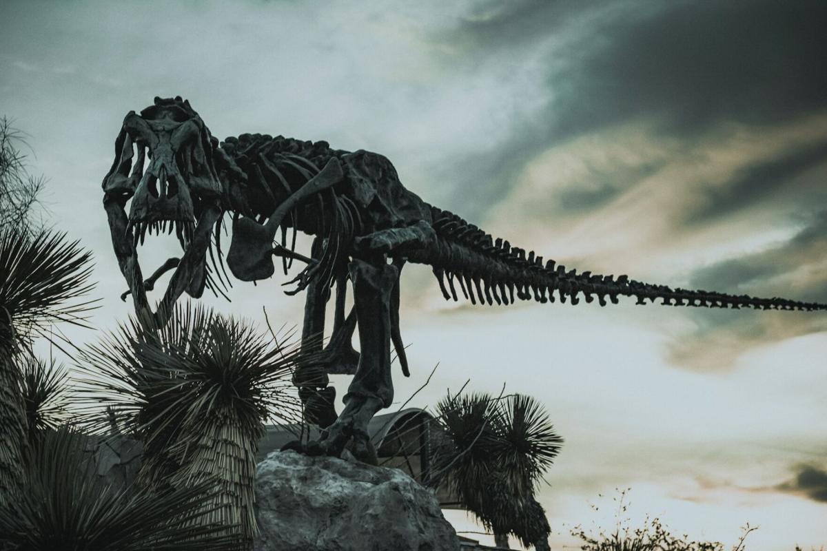 Tyrannosaurus rex research reveals new facts about ‘king of dinosaurs ...