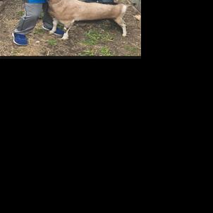 Brayden Reed wins Tawni in 2019 Share-A-Kid program | News | albianews.com