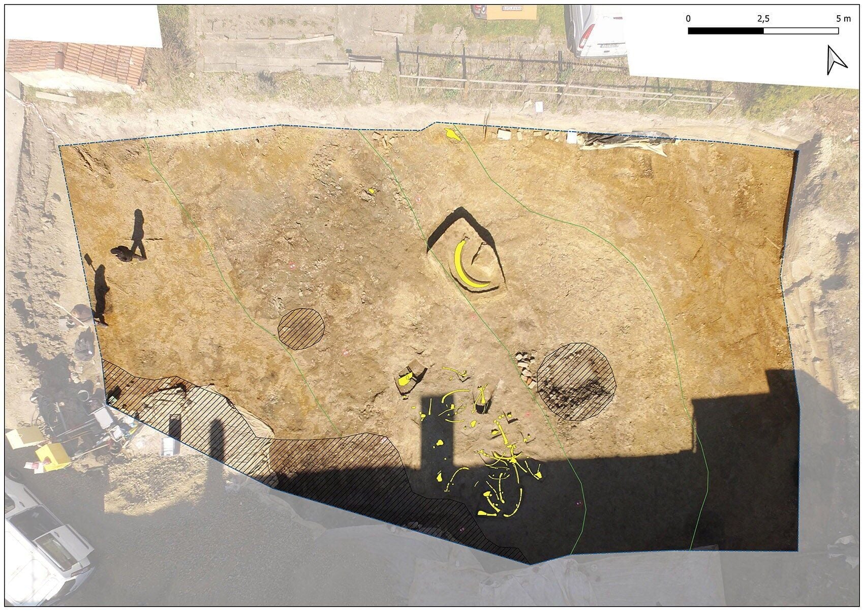 Ice Age woolly mammoth found likely butchered by hunters | National ...
