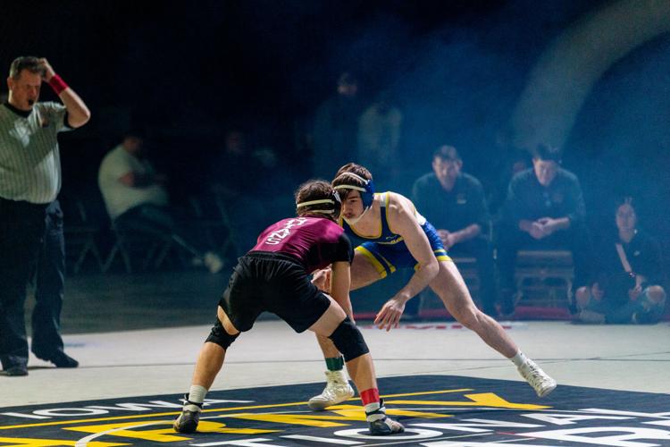 Next stop, Des Moines; four Blue Demons qualify for state | Sports ...