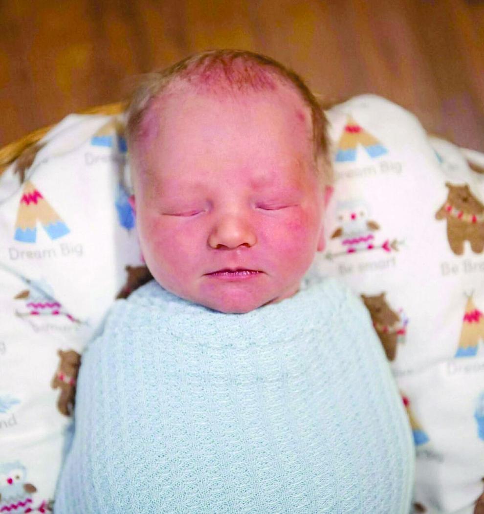 New Arrival | Moravia | albianews.com