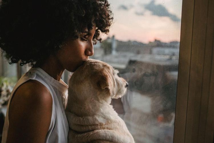 Shorter strides may be early warning sign of dementia in dogs | Health ...