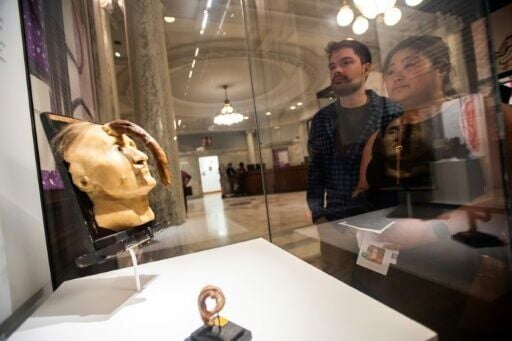 Unnamed skeletons? US museum at center of ethical debate | National ...