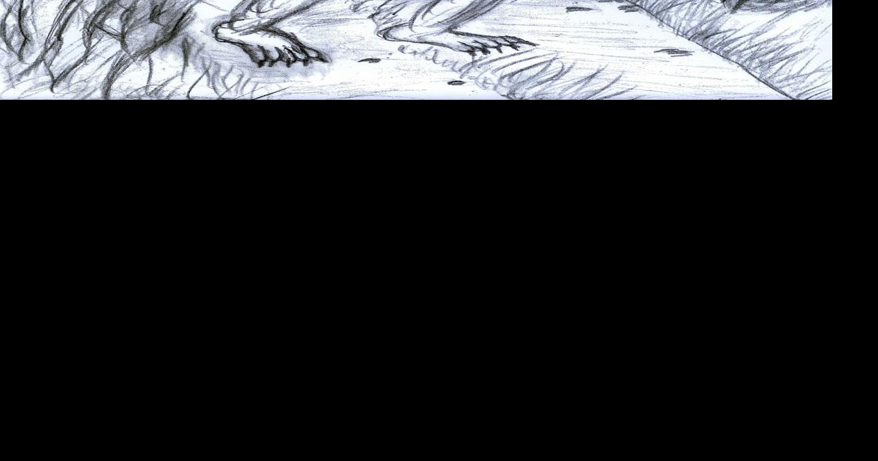 The legend of Dog-Boy | News | alliednews.com