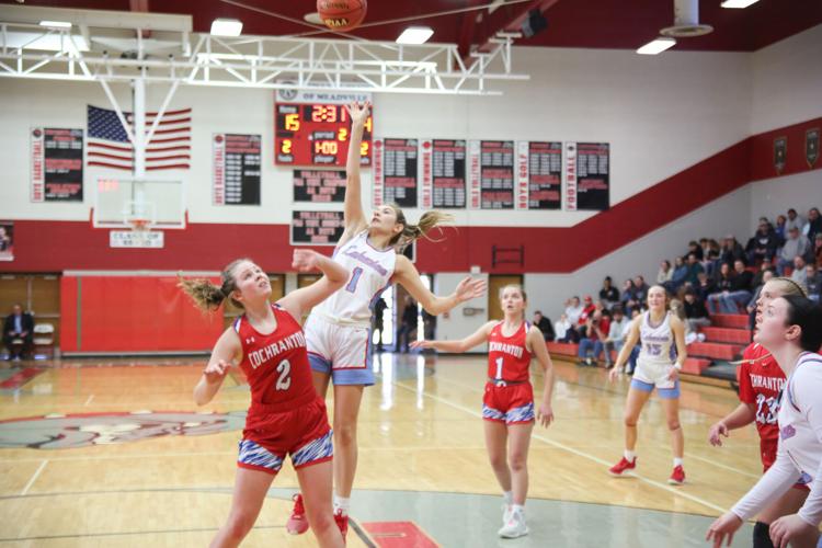 Lakeview girls fall in overtime in playoffs to Cochranton | Local ...