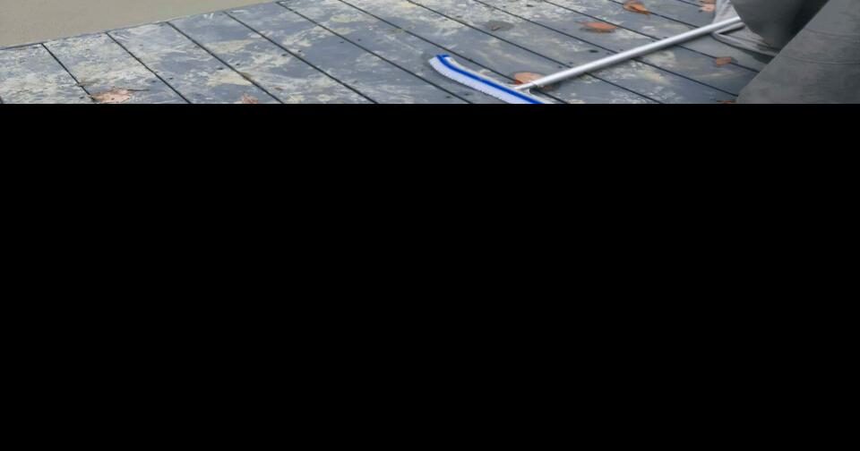 OVERVIEW: Palmer Pools – swimming forward | Local News | alliednews.com