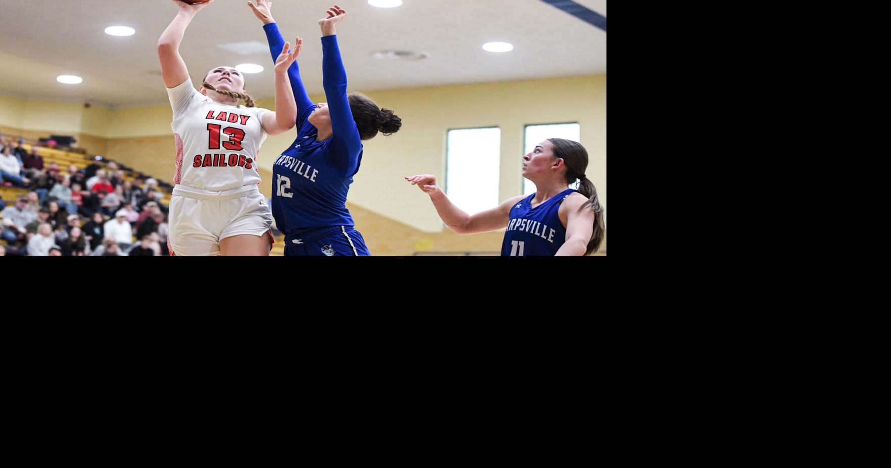 Lakeview boys, girls basketball teams advance to district semifinals ...