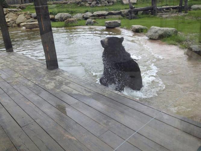 Animal park offers fun for all | Local News | alliednews.com