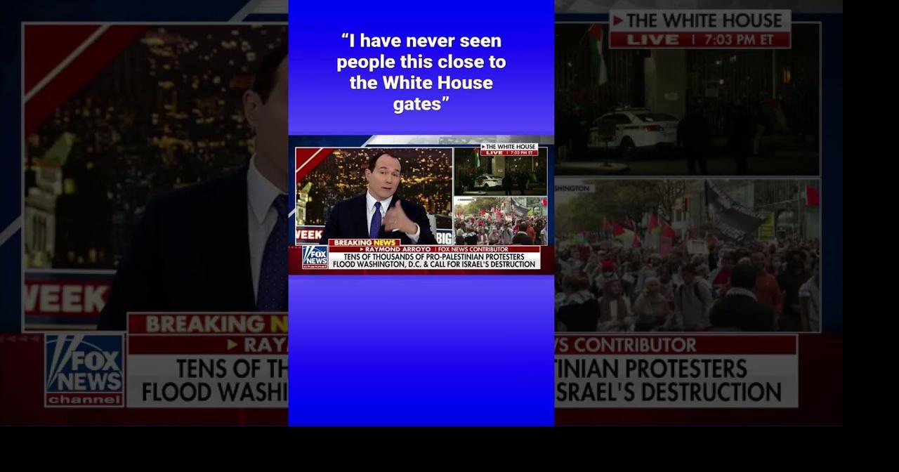 'I have never seen people this close to the White House gates': Raymond ...