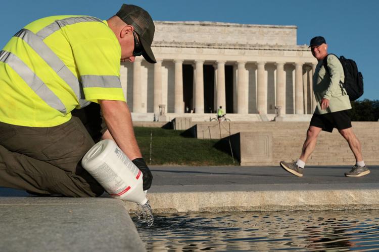 Reflecting Pool woes: Trump administration turns to hydrogen peroxide ...