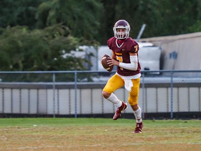 Bees swarm Cavaliers | Multimedia | altavistajournal.com