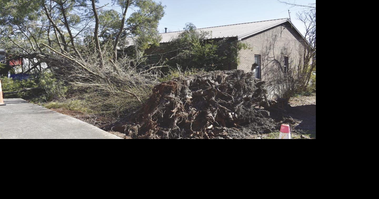 Treacherous wind whips through the area | News | altavistajournal.com