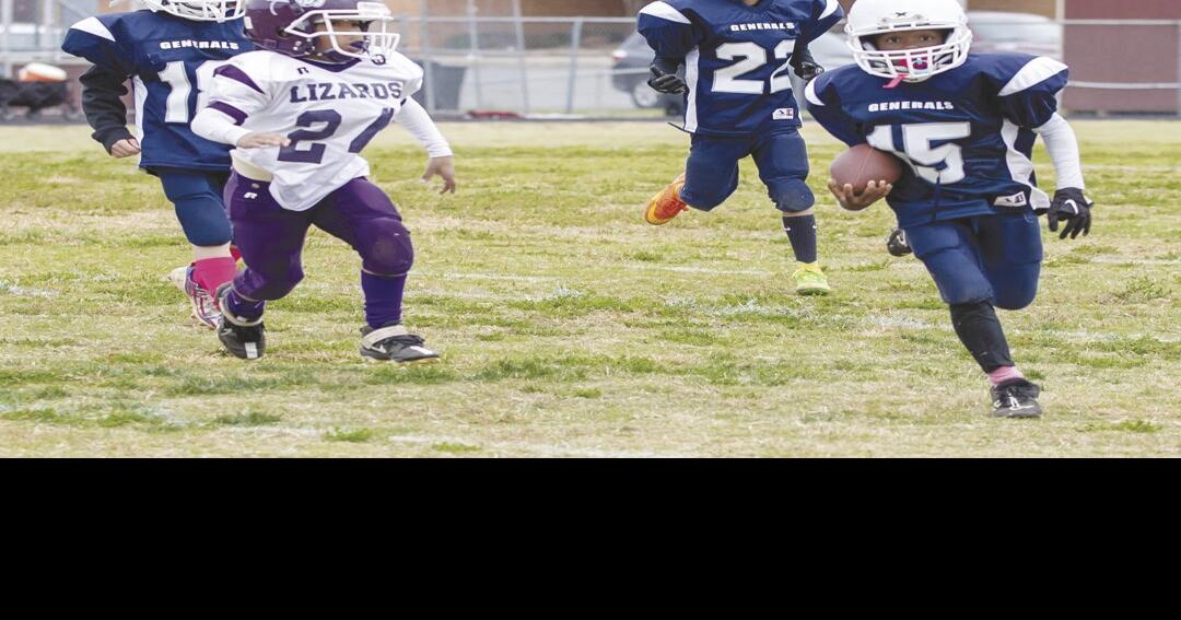 Go Lizards | Online Features | altavistajournal.com