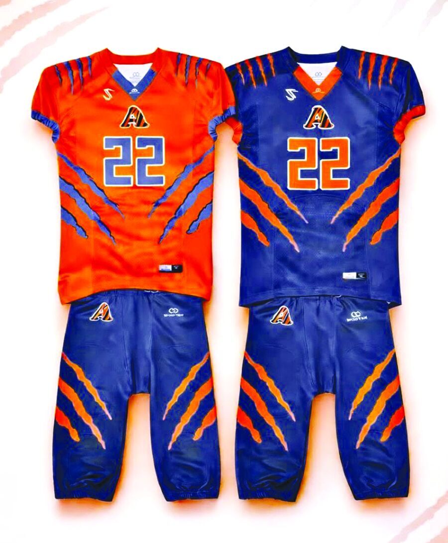 Thornhill announces Altavista youth football rebrand | Online Features ...