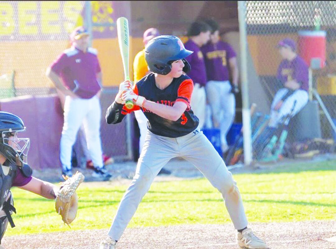 Altavista Junior Varsity Baseball team knocks off Gretna | Online ...