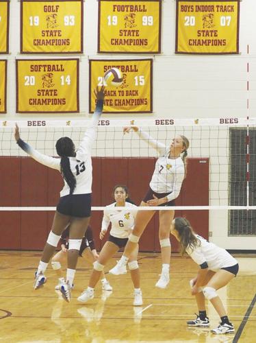 Bees sting Lady Generals in volleyball season opener | Online Features ...