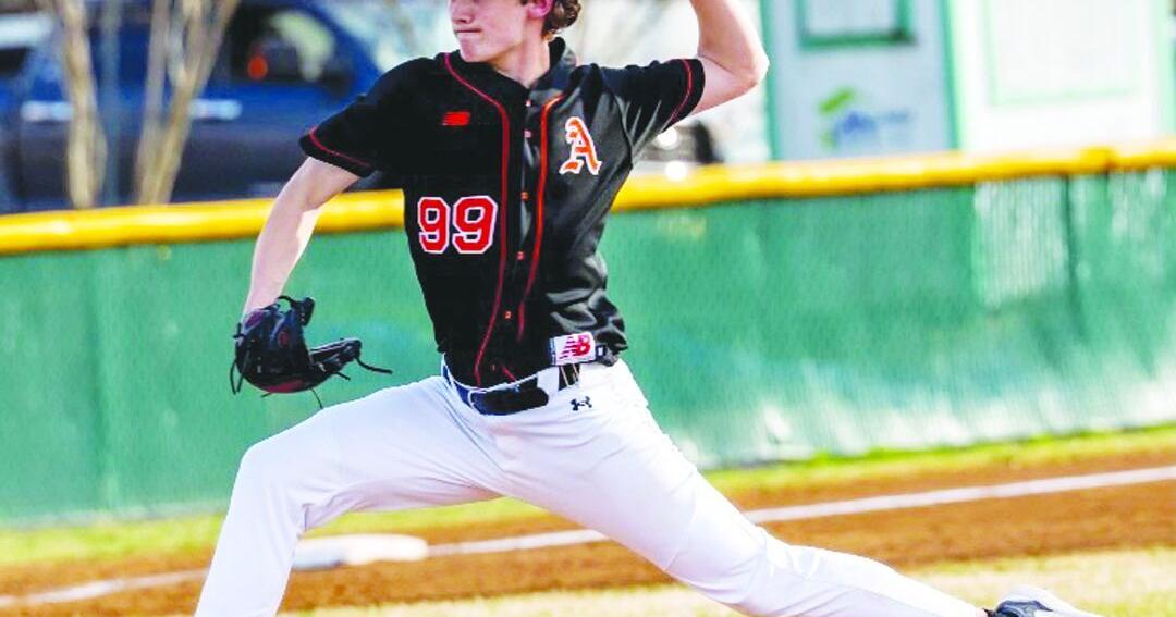 McCorkle fans 17, tosses one-hitter as AJ beats Wildcats | Online ...
