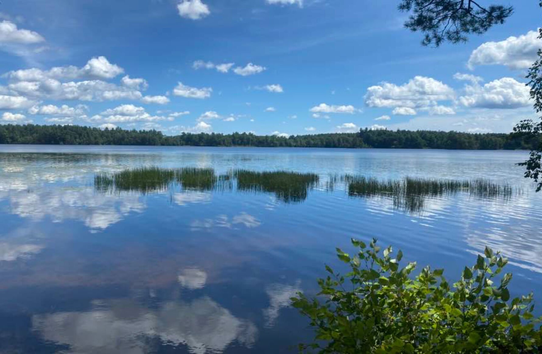 Friends of Haggetts Pond hold gathering | Local News | andovertownsman.com