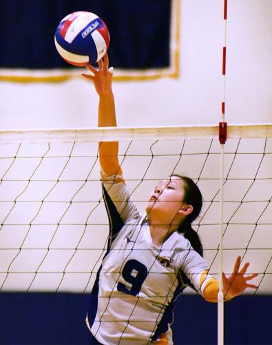 Andover High Roundup: Golden Warrior volleyball rolls in tourney opener ...