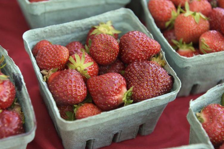 Fresh for the season | Local News | andovertownsman.com