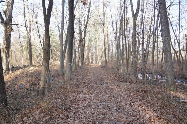 Haggetts Pond trail under fire at public hearing | Local News ...