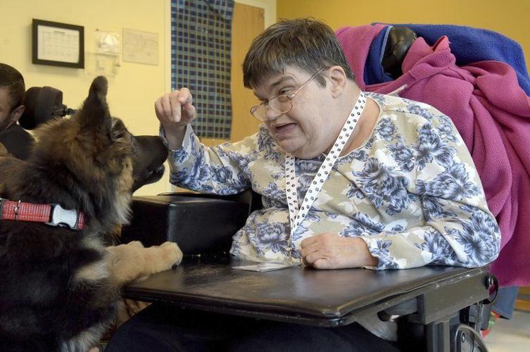 American Training gets a visit from service dogs | News ...