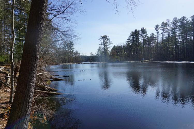 Collins Pond dam repairs near completion | Local News | andovertownsman.com