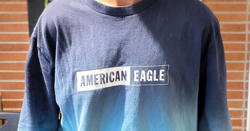 Students selected as Project 351 ambassadors | | andovertownsman.com