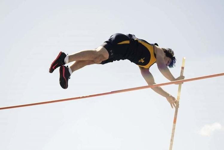 In his blood; Vetere follows in brothers' footsteps to become a star ...