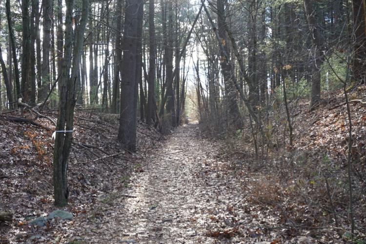 Haggetts Pond trail under fire at public hearing | Local News ...