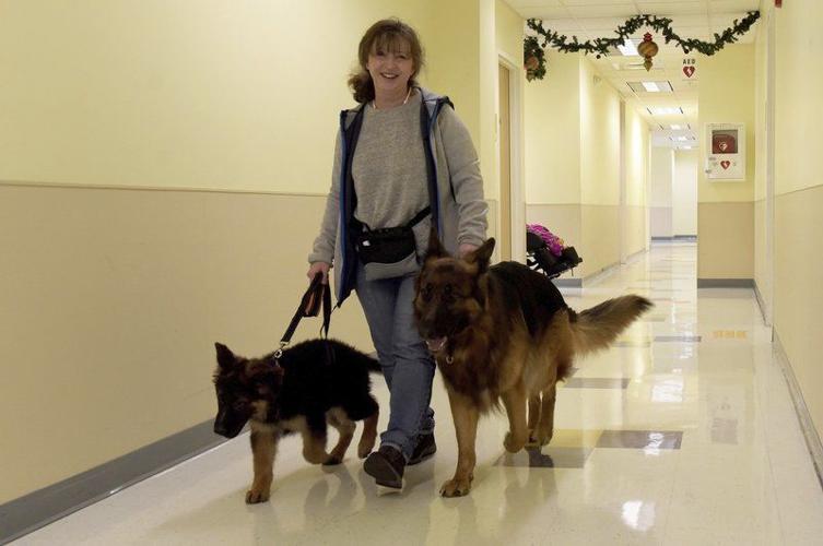 American Training gets a visit from service dogs | News ...