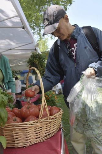 Fresh for the season | Local News | andovertownsman.com