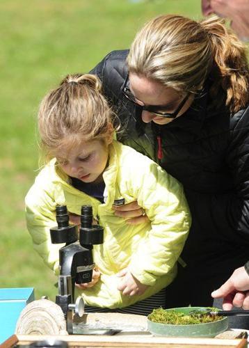 Berry Pond reopens for swimmers this upcoming summer | Local News ...
