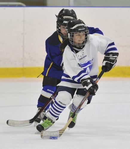 Mites skate strong in 2014 Heseltine Tournament; 22 area teams face-off ...