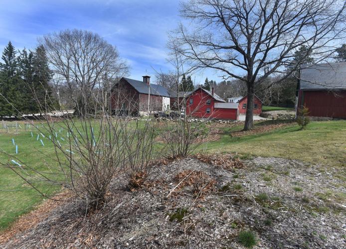 Sip back and relax: Marble Ridge Winery creates retreat in North ...