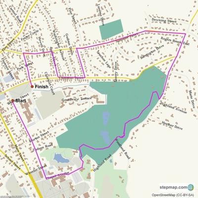 Step Up for Colleen race facts | Local News | andovertownsman.com