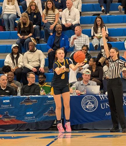 Andover's remarkable season falls short in the semis | Sports ...