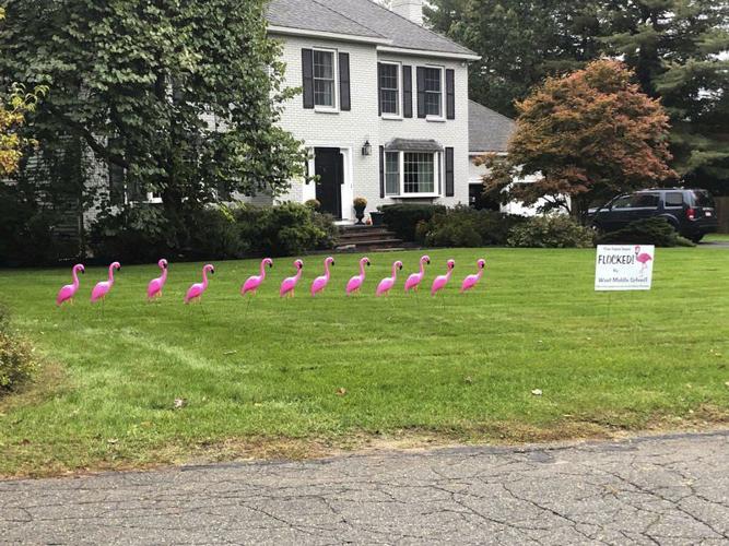 Sanborn Elementary hosts 34th annual Spooky Fair | Education ...