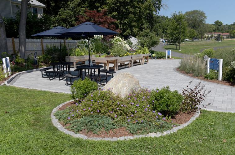 Town planting seeds for accessible community garden, sensory garden ...