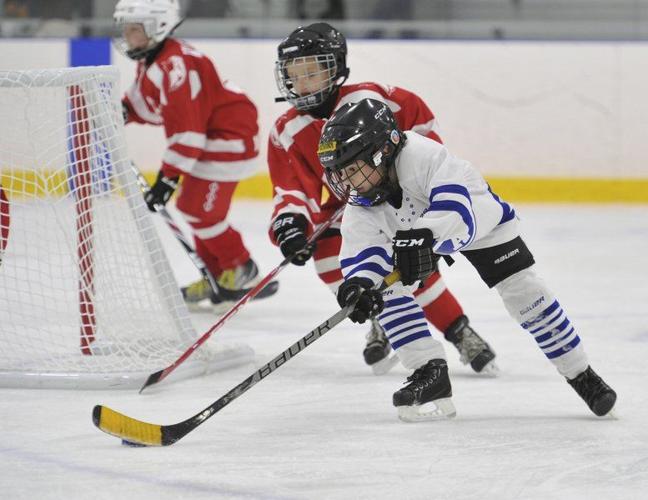 Mites skate strong in 2014 Heseltine Tournament; 22 area teams face-off ...