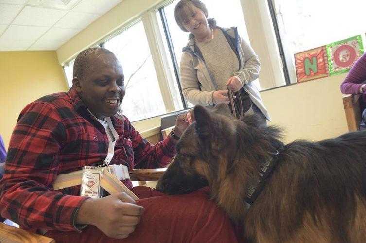 American Training gets a visit from service dogs | News ...