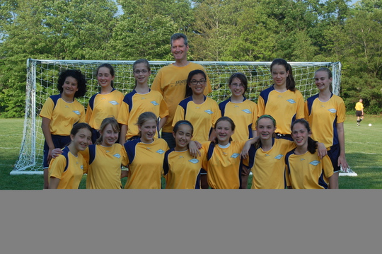 Shock and awesome: Two champs, 12 Andover Soccer playoff teams at ...