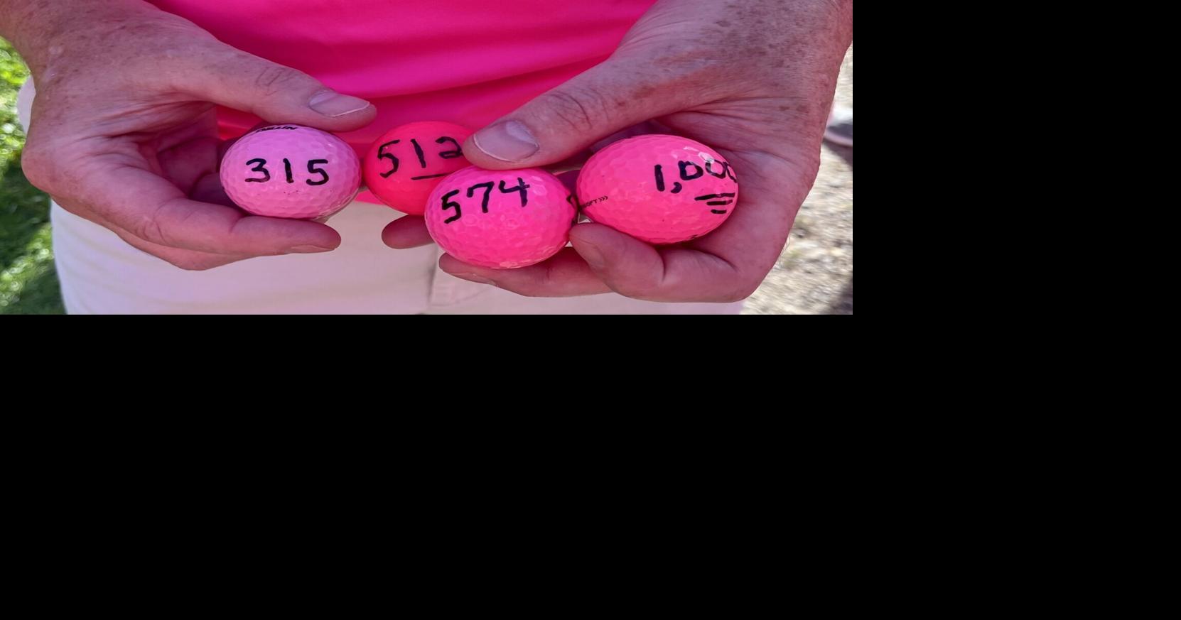 Colleen Ritzer Memorial Fund event raises money for a cause | News ...